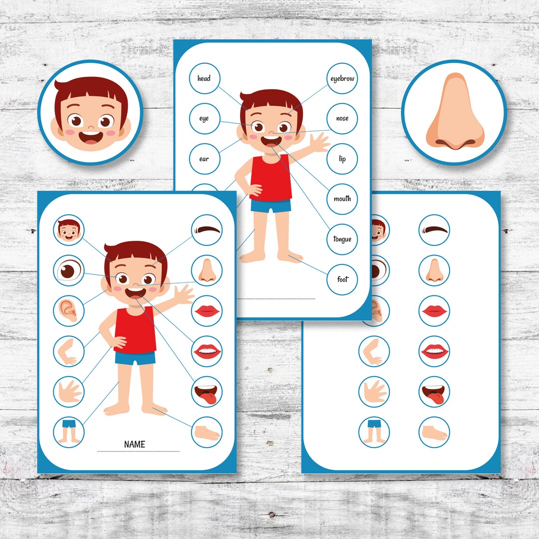 12 Body Parts Matching Activity Printable A4 Flashcards, Body Parts ...