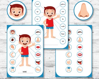 20 Body Parts Printable A4 Flashcards, Body Parts Matching Game ...