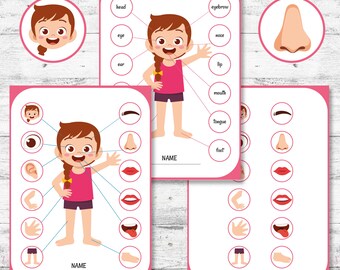 18 Body Parts Matching Activity Printable A4 Flashcards, Body Parts ...