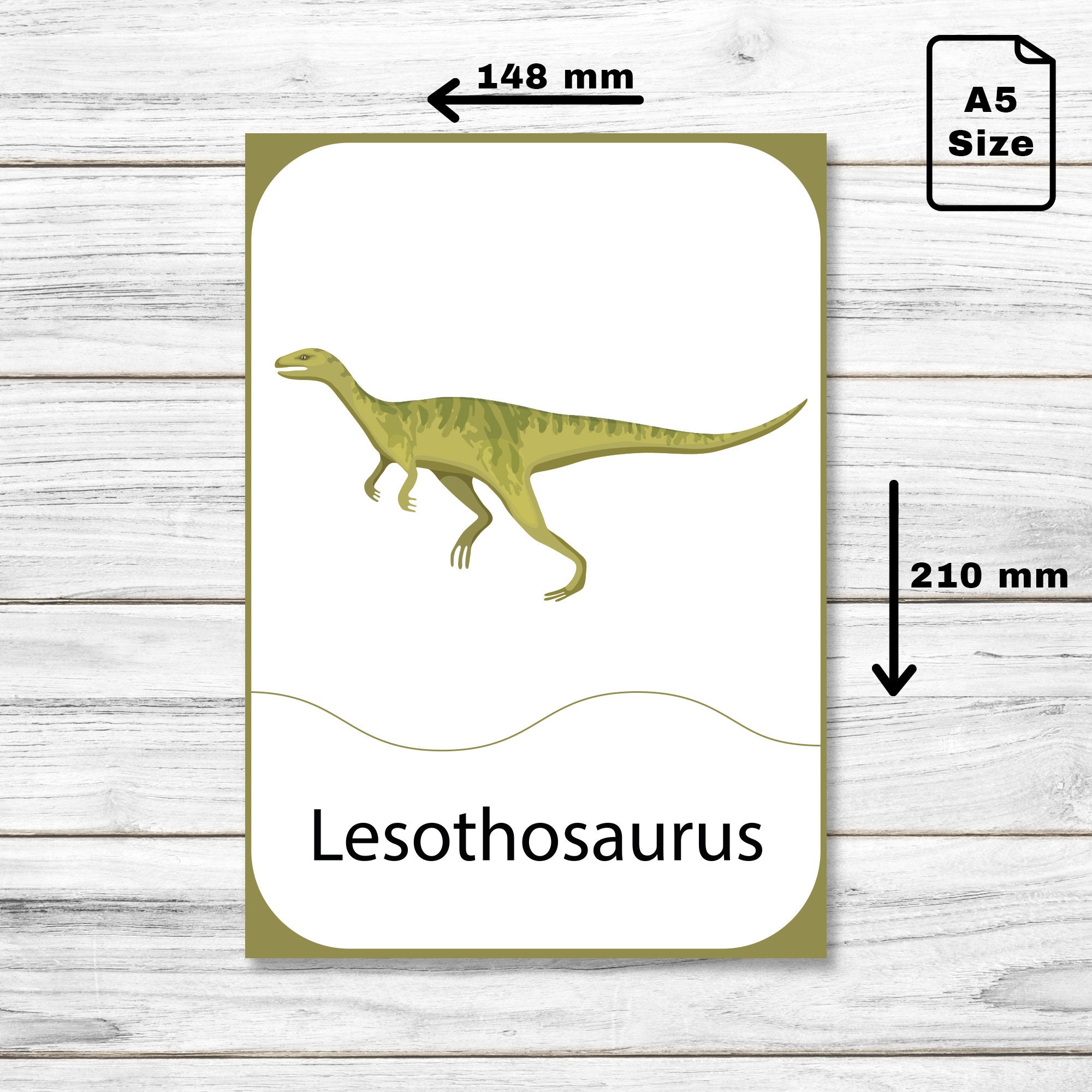 16 PDF Digital Printable Dinosaur Flash Cards, Printable Montessori ...