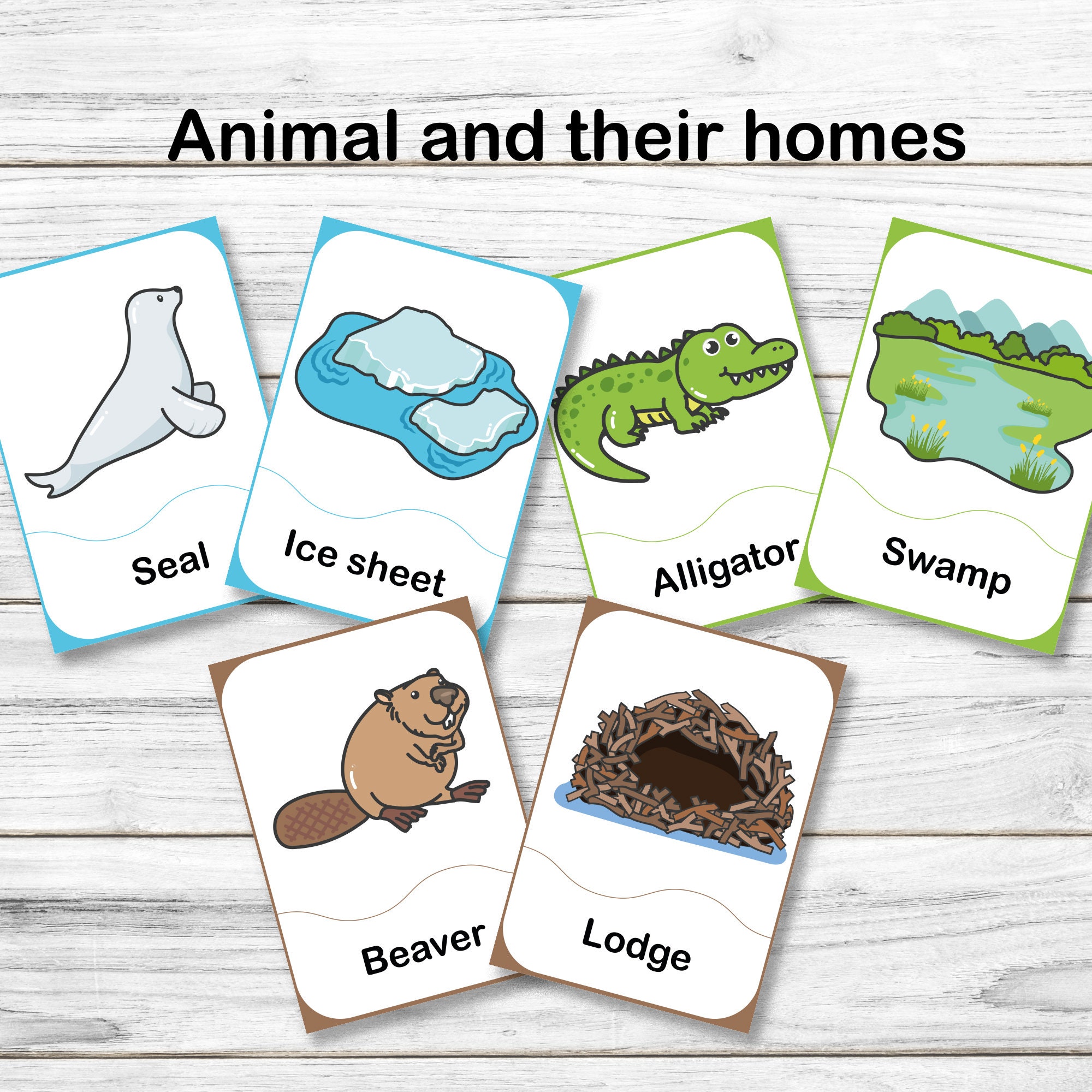 Animals and Their Homes Matching Cards - Printable Animals Flashcards ...