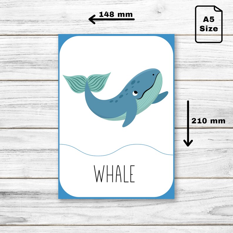 25 Sea Animal Flashcards Printable - Under the Sea Flash Cards - Ocean ...