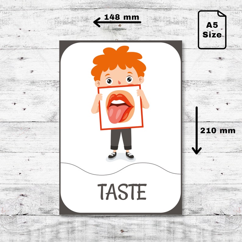 5 Senses Montessori Flash Cards: Educational Printable (PDF) - Etsy