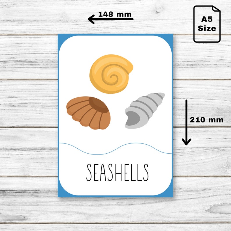 25 Sea Animal Flashcards Printable - Under the Sea Flash Cards - Ocean ...