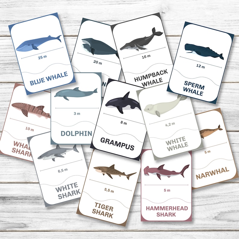 12 Sea Animal Size Flashcards Printable - Under the Sea Flash Cards ...