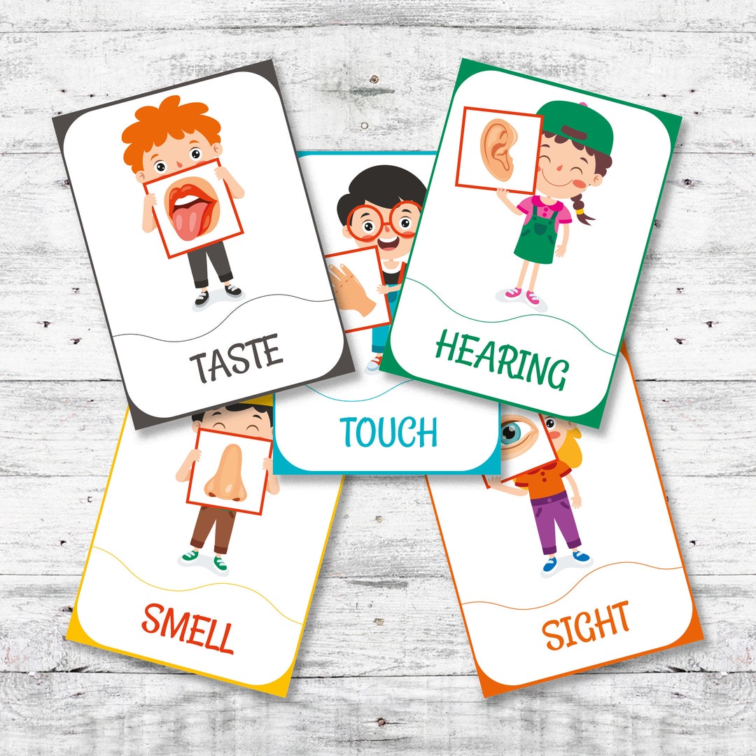5 Senses Digital Printable Montessori Cards, Educational Material, 5 ...