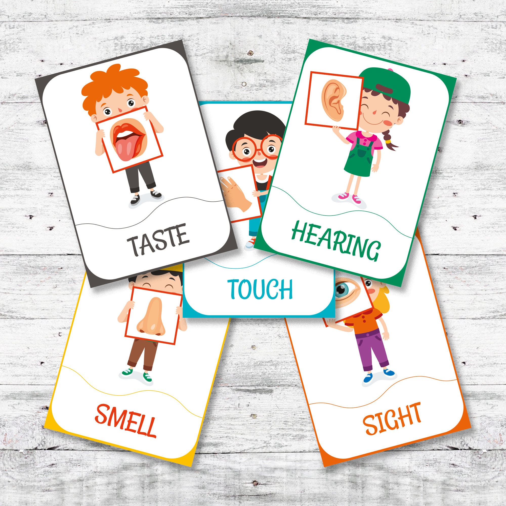 5 Senses Digital Printable Montessori Cards, Educational Material, 5 ...