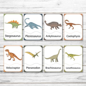 16 PDF Digital Printable Dinosaur Flash Cards, Printable Montessori ...