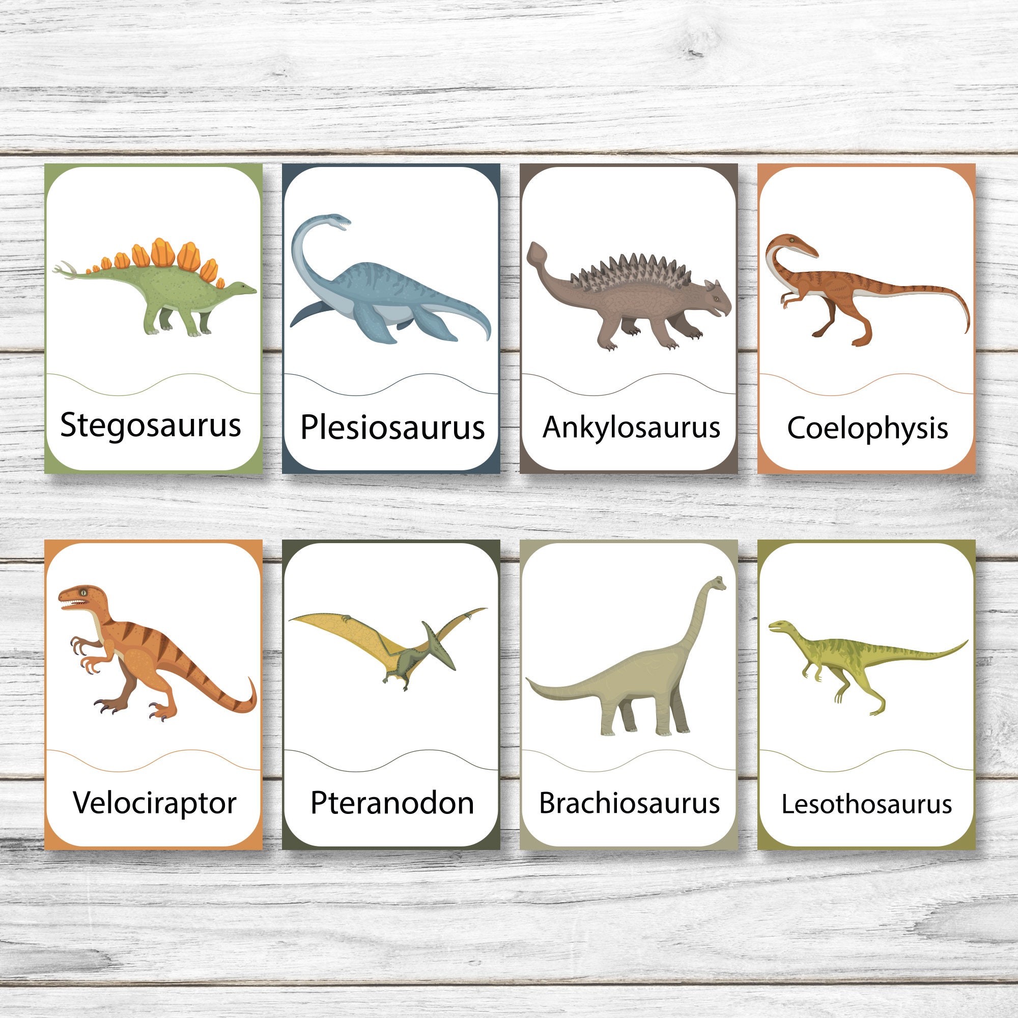 16 PDF Digital Printable Dinosaur Flash Cards, Printable Montessori ...