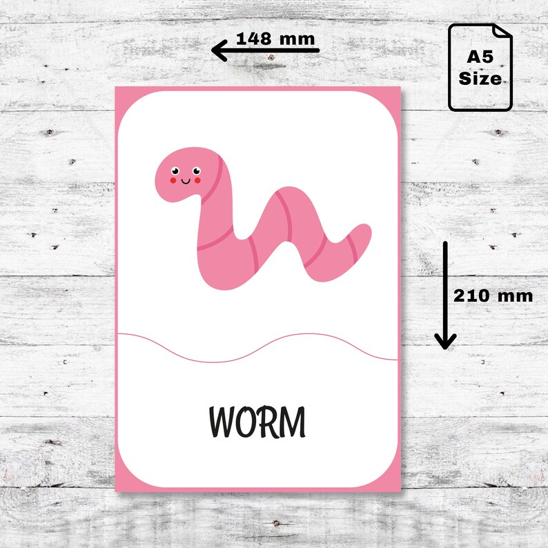 Printable Insects Flashcards, Preschool Toddler Flash Cards, Montessori ...