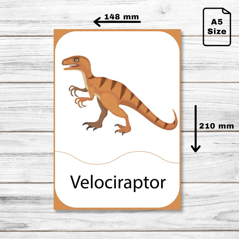 16 PDF Digital Printable Dinosaur Flash Cards, Printable Montessori ...
