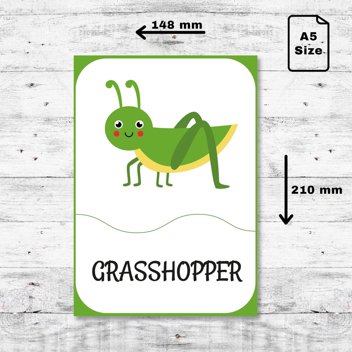 Printable Insects Flashcards, Preschool Toddler Flash Cards, Montessori ...