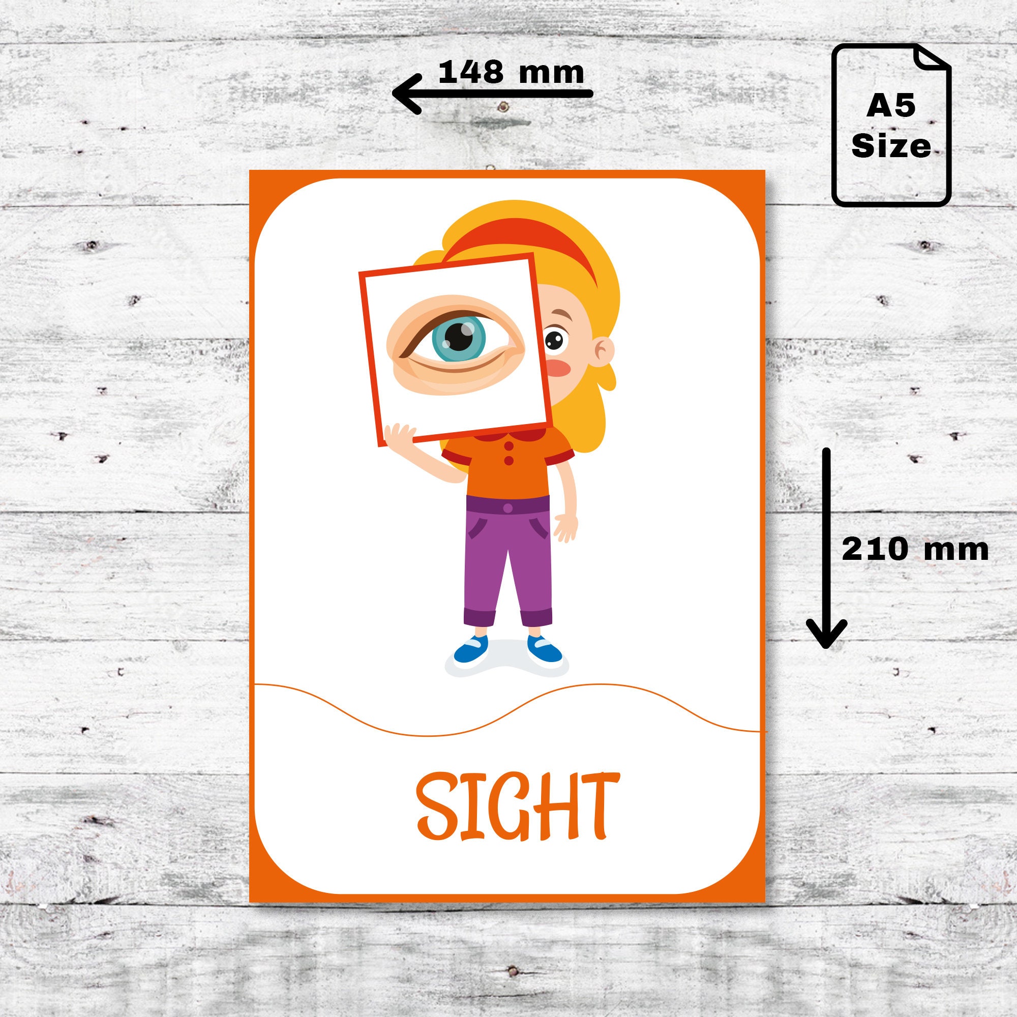 5 Senses Montessori Flash Cards: Educational Printable (PDF) - Etsy