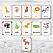 Animal Flash Cards for Children Montessori Animal Flash Cards Animal ...