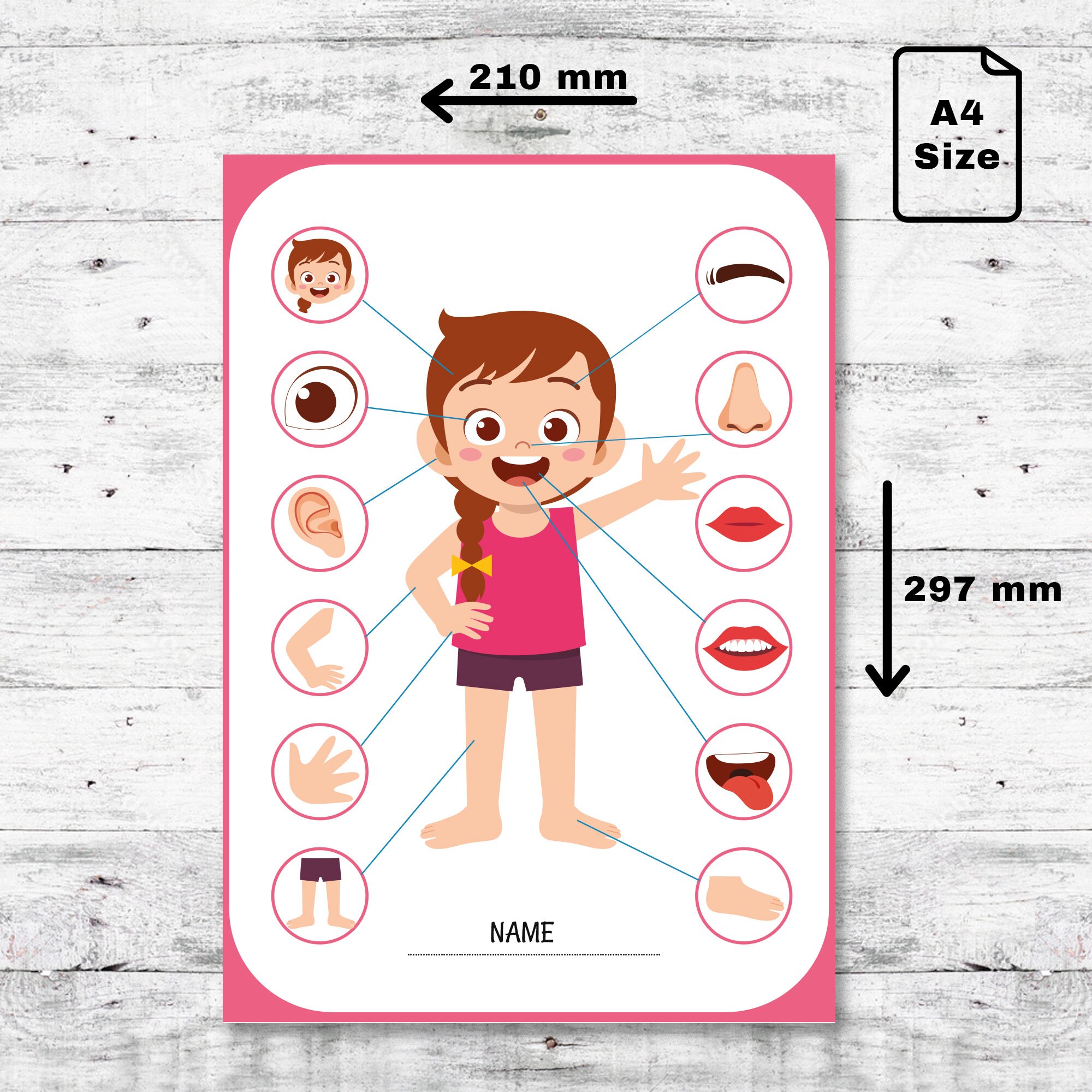 12 Body Parts Matching Game Printable A4 Flashcards, Body Parts ...