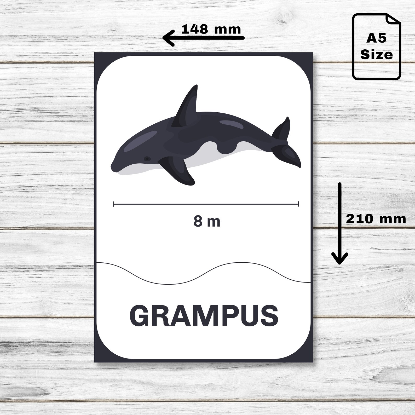 12 Sea Animal Size Flashcards Printable - Under the Sea Flash Cards ...