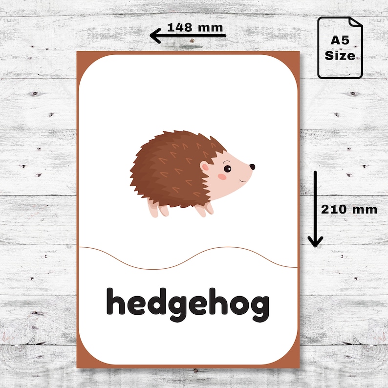 Animal Flash Cards for Children - Montessori Animal Flash Cards ...