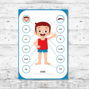 12 Body Parts Matching Activity Printable A4 Flashcards, Body Parts ...