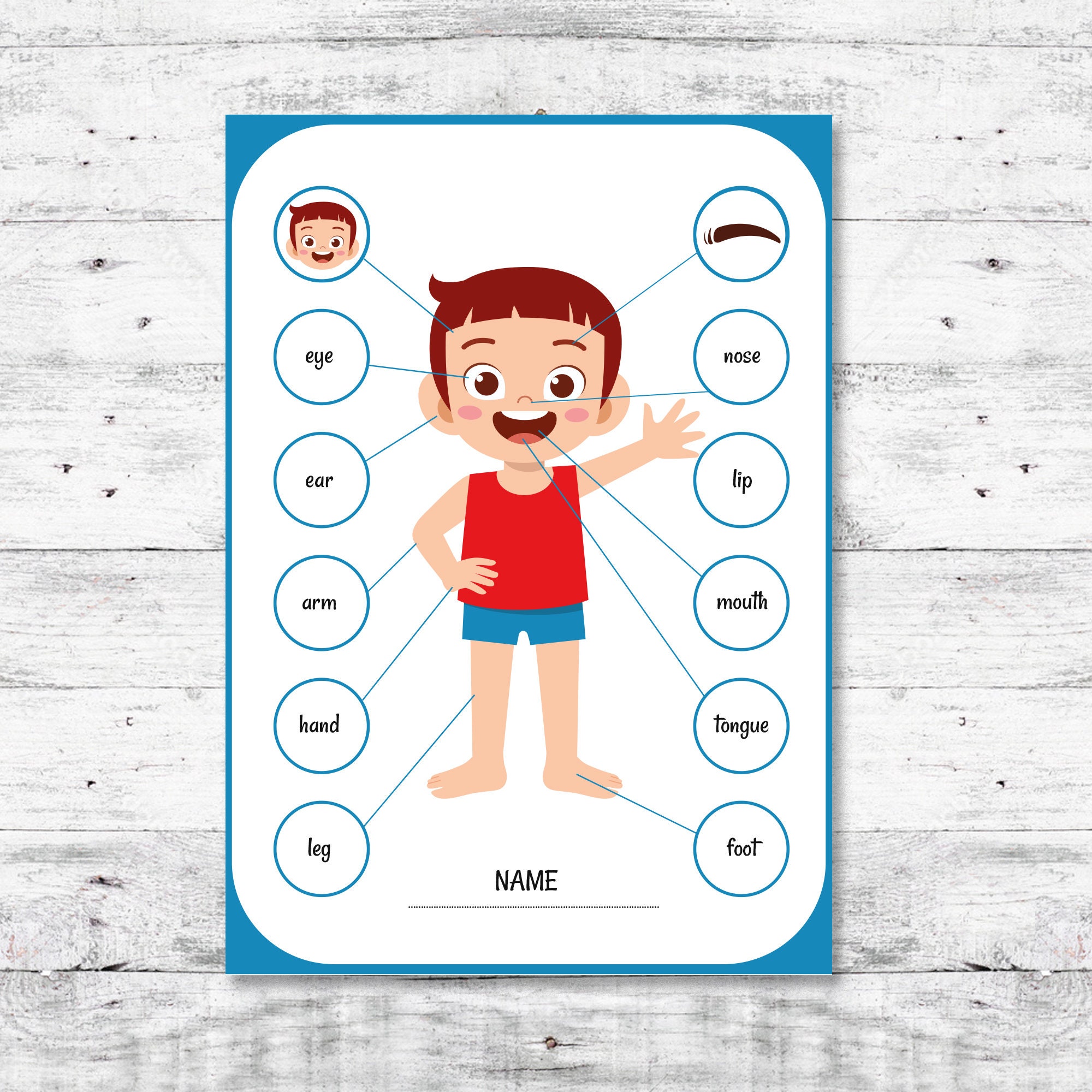 12 Body Parts Matching Activity Printable A4 Flashcards, Body Parts ...