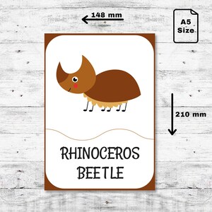 Printable Insects Flashcards, Preschool Toddler Flash Cards, Montessori ...