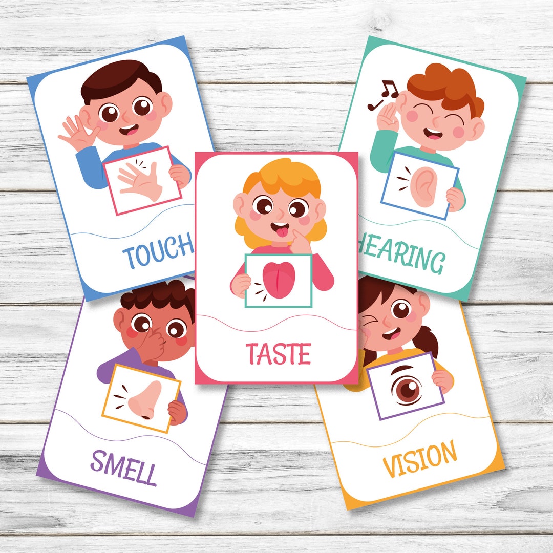5 Senses Printable Flashcard, Digital Printable Montessori Cards ...