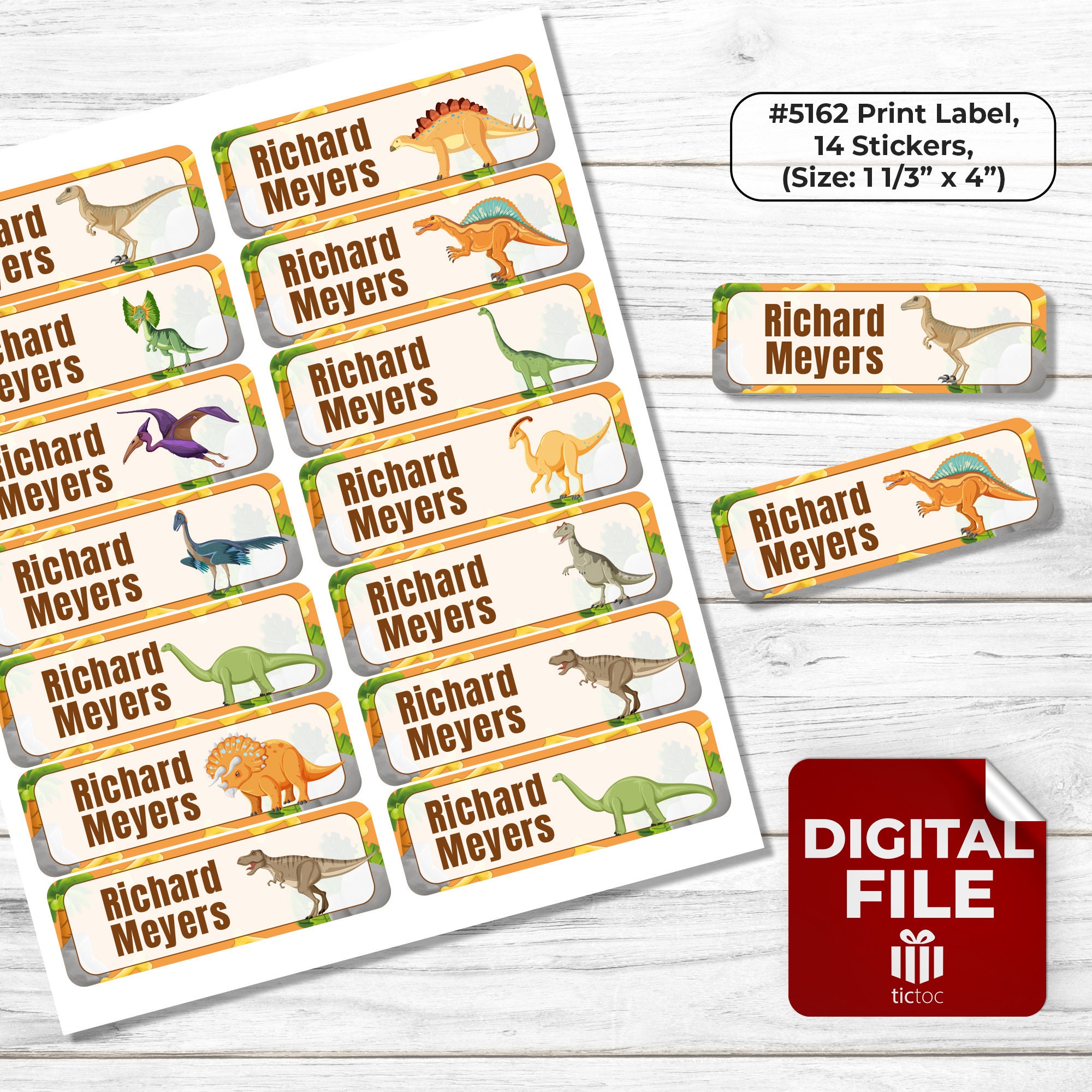 Personalized Dinosaur Digital Printable School Labels - Personalized ...