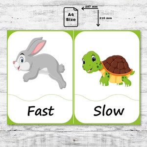 12 PDF A4 Digital Printable Opposites Matching Flash Cards, Printable ...