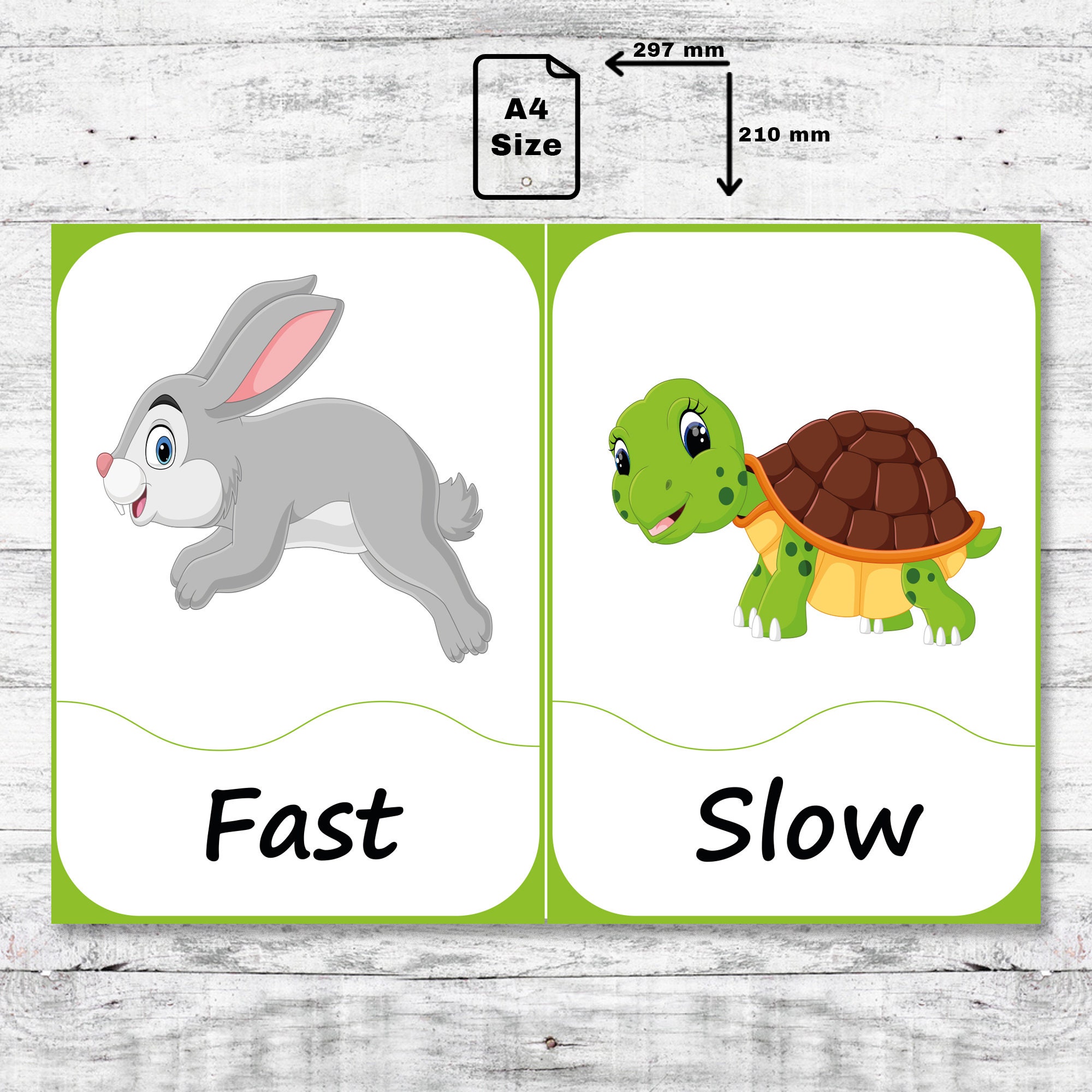 12 PDF A4 Digital Printable Opposites Matching Flash Cards, Printable ...