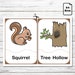 Printable Animals and Their Homes Matching Cards - Printable Animals ...