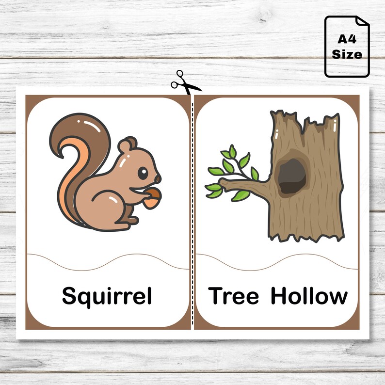 Printable Animals and Their Homes Matching Cards - Printable Animals ...