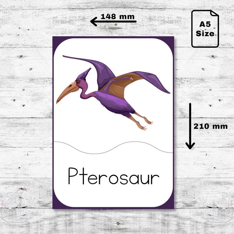 Dinosaur Flash Cards: Montessori Homeschool Printable (PDF Digital ...