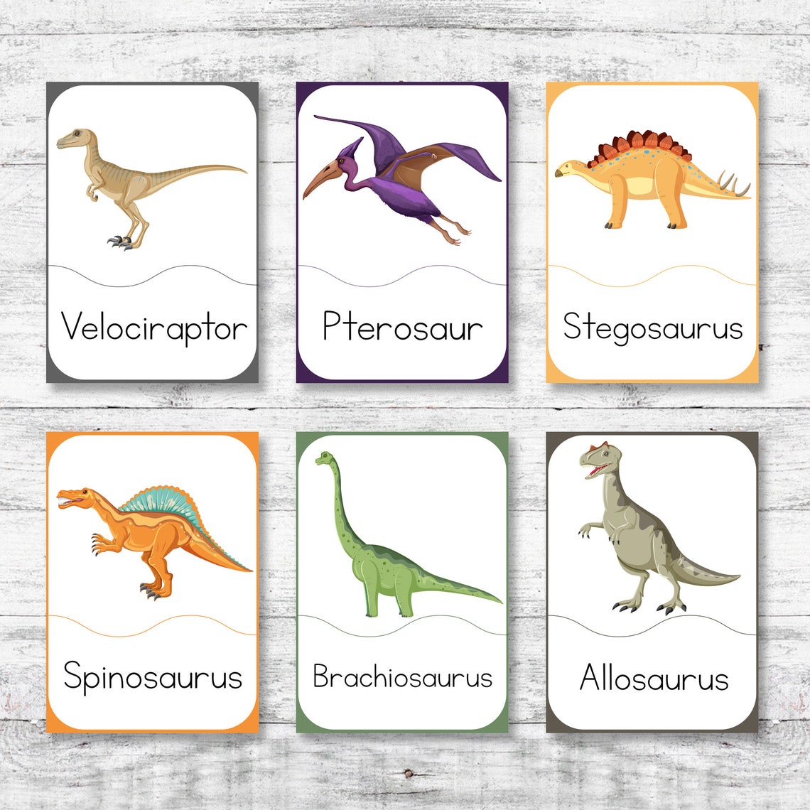 Dinosaur Flash Cards: Montessori Homeschool Printable (PDF Digital ...