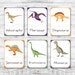 Dinosaur Flash Cards: Montessori Homeschool Printable (PDF Digital ...