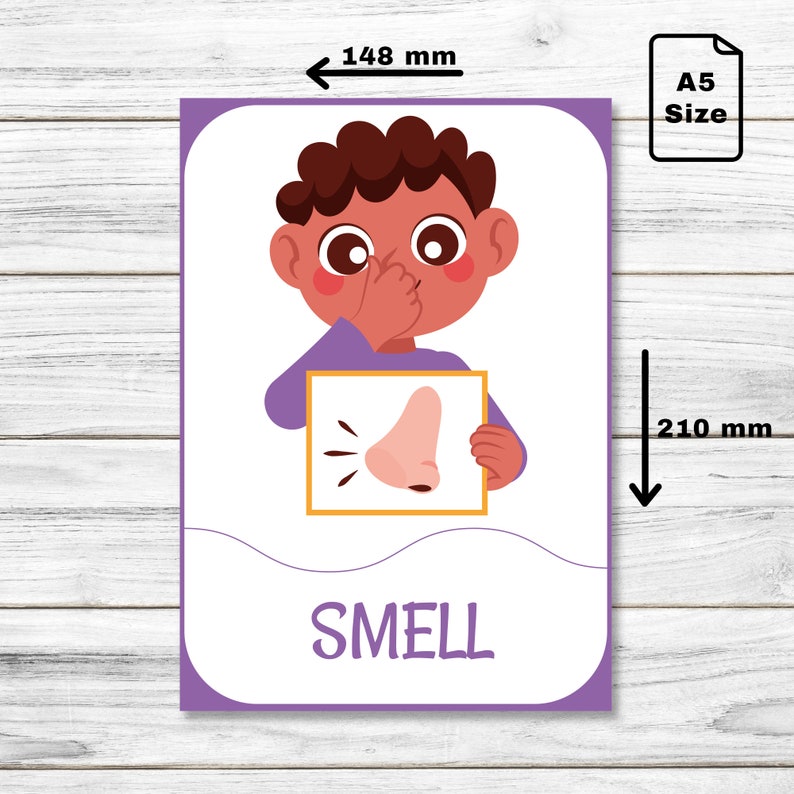 5 Senses Printable Flashcard, Digital Printable Montessori Cards ...