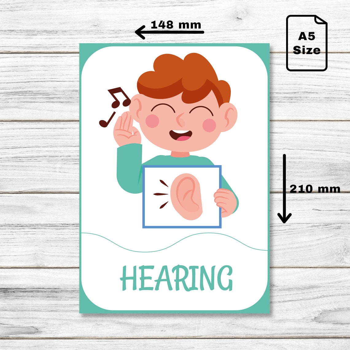 5 Senses Printable Flashcard, Digital Printable Montessori Cards ...