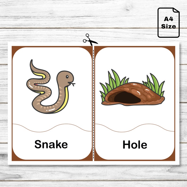 Animals and Their Homes Matching Cards - Printable Animals Flashcards ...