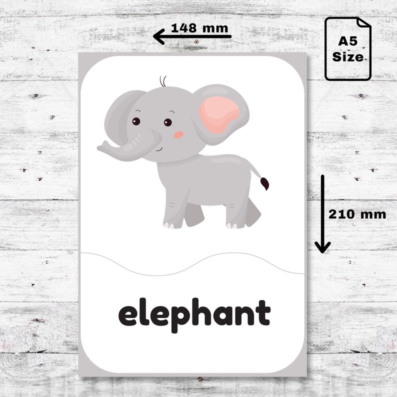 Animal Flash Cards for Children - Montessori Animal Flash Cards ...