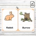 Animals and Their Homes Matching Cards - Printable Animals Flashcards ...
