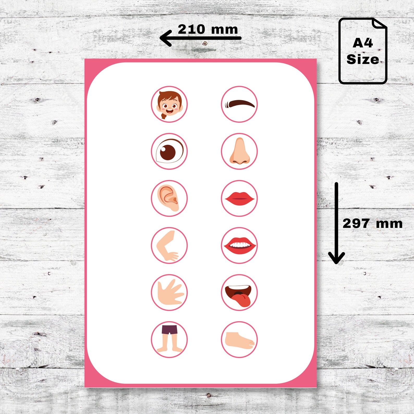 12 Body Parts Matching Game Printable A4 Flashcards, Body Parts ...