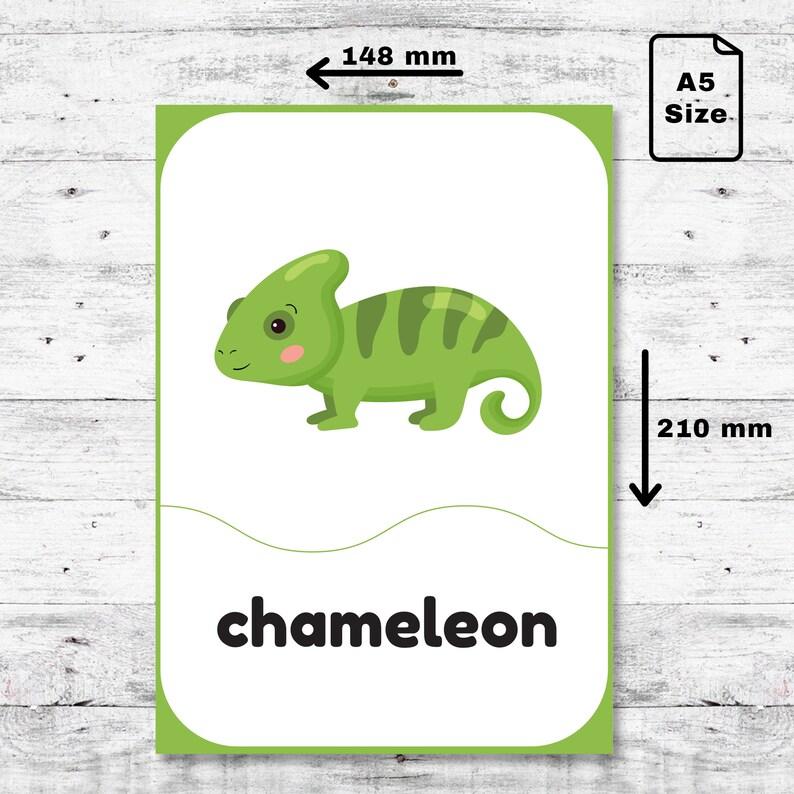 Animal Flash Cards for Children - Montessori Animal Flash Cards ...