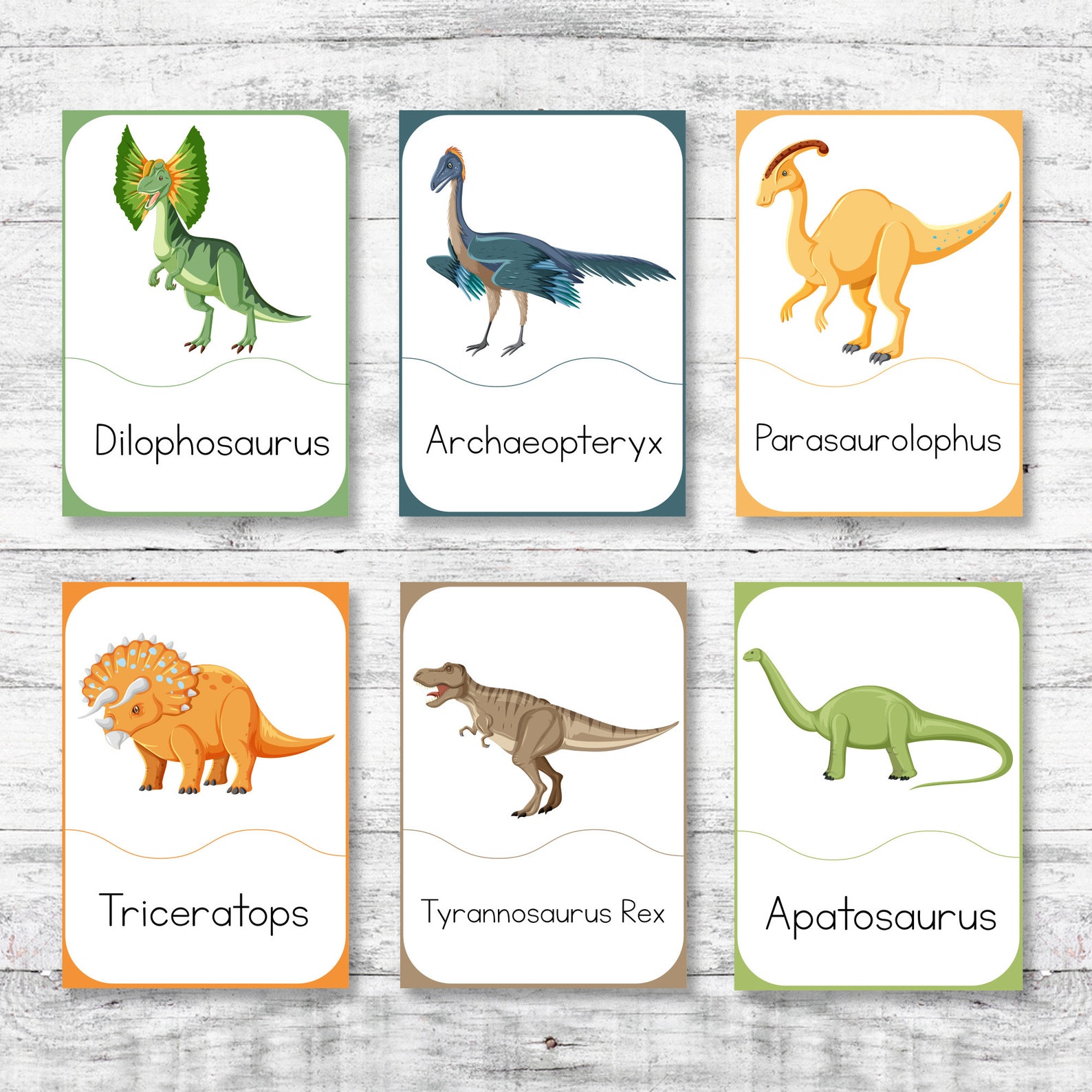 Dinosaur Flash Cards: Montessori Homeschool Printable (PDF Digital ...