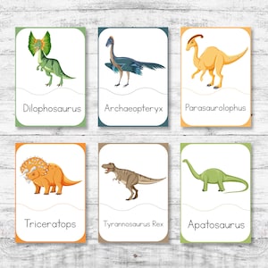 Dinosaur Flash Cards: Montessori Homeschool Printable (PDF Digital ...