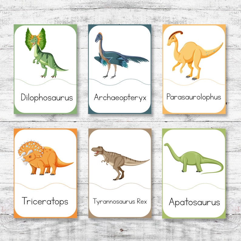 Dinosaur Flash Cards: Montessori Homeschool Printable (PDF Digital ...