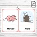 Printable Animals and Their Homes Matching Cards - Printable Animals ...