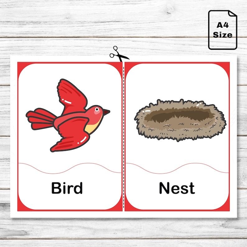 PDF Animals and Their Homes Matching Cards - Printable Animals ...