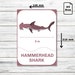 12 Sea Animal Size Flashcards Printable Under the Sea Flash Cards Ocean ...