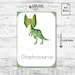 Dinosaur Flash Cards: Montessori Homeschool Printable (PDF Digital ...