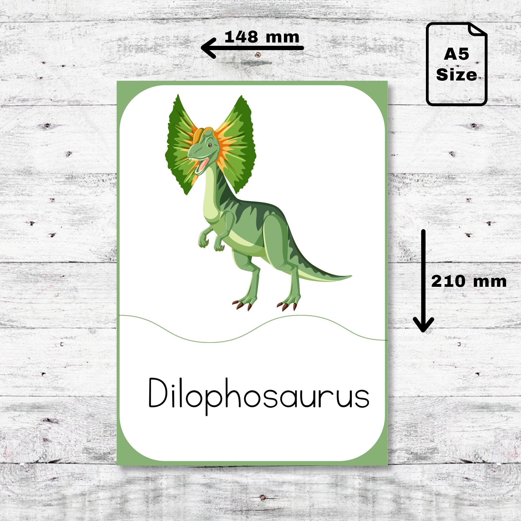 Dinosaur Flash Cards: Montessori Homeschool Printable (PDF Digital ...