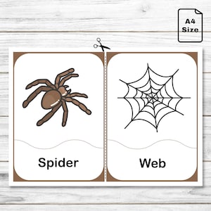 Animals and Their Homes Matching Cards - Printable Animals Flashcards ...