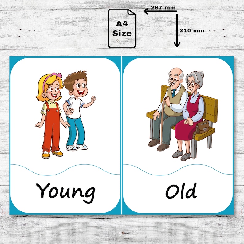 12 PDF A4 Digital Printable Opposites Matching Flash Cards, Printable ...